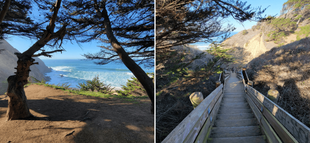 Gray Whale Cove | The Hable Way