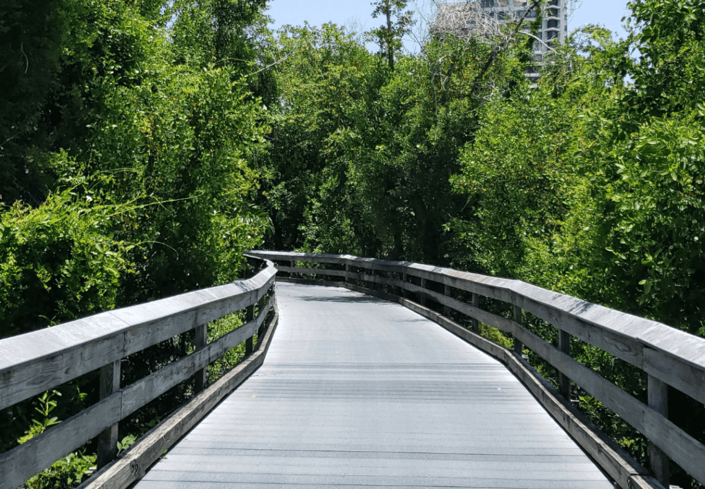 Naples Grande Beach Resort New Management Review